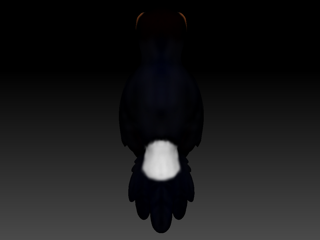 Toco Toucan Model – Robyn Pennypacker