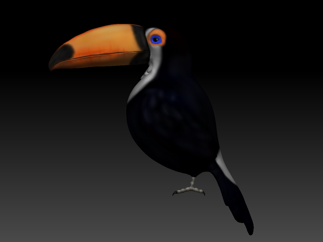 Toco Toucan Model – Robyn Pennypacker